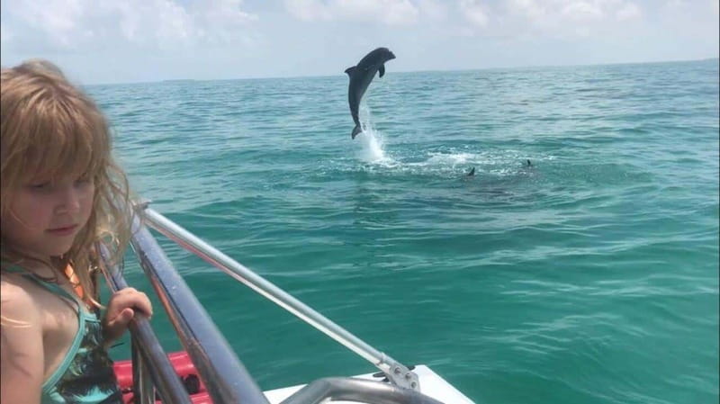 Fort Walton: Dolphin Discovery and Snorkeling Cruise - FAQ