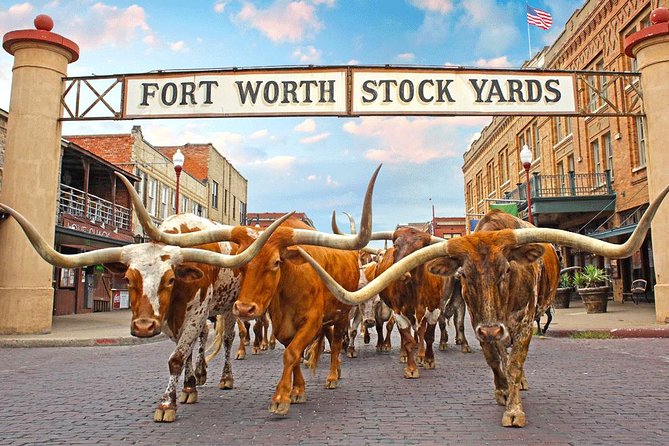 Fort Worth Highlights Tour - Who Would Love This Tour?