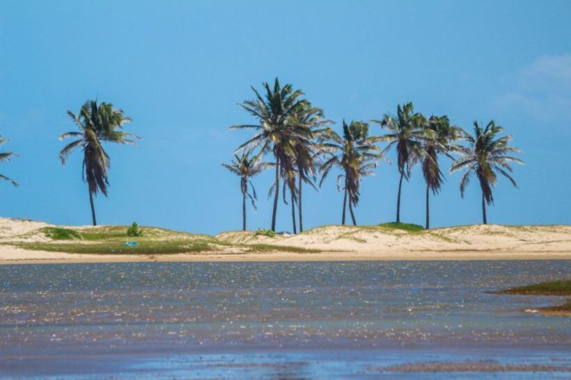 Fortaleza: Beach Trip with Pickup, Swimming, and Activities - Key Points