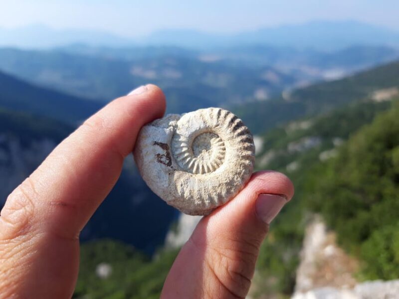 Fossombrone: Canoe Adventure at the Marmitte dei Giganti. - Meeting Points and Practicalities