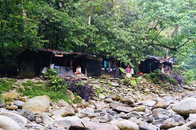 Four days orangutans adventure in Gunung Leuser - The Sum Up