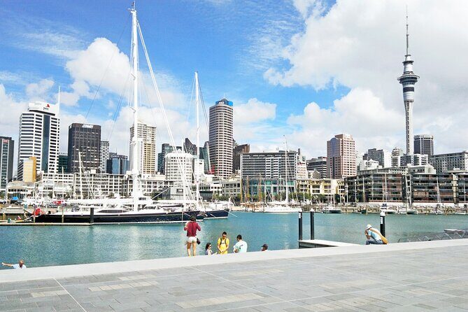 Four Hour Private Auckland Sightseeing Tour - An In-Depth Look at the Itinerary