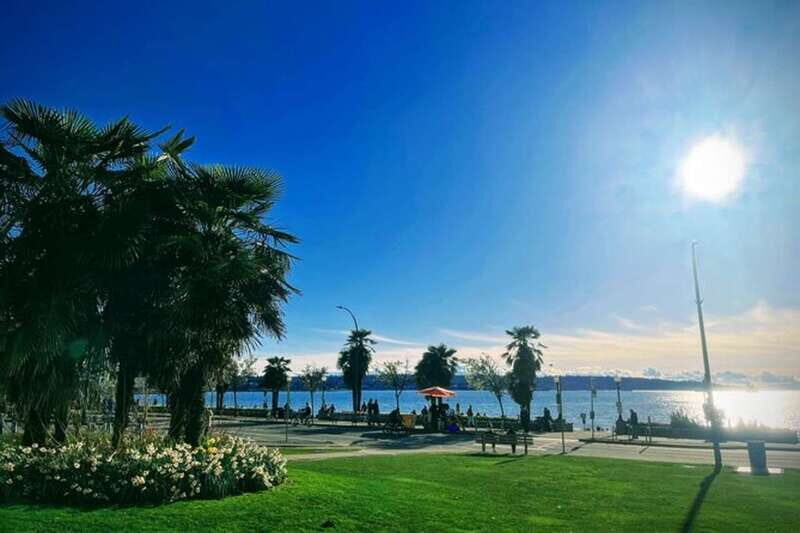 Four Hours of Vancouver Bliss: Unforgettable Memories Await - Final Thoughts: Who Will Love This Tour?