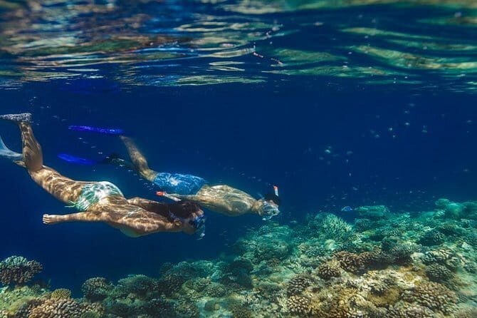 Four Islands Private Tour in Addu City, Maldives - Who This Tour Is Perfect For