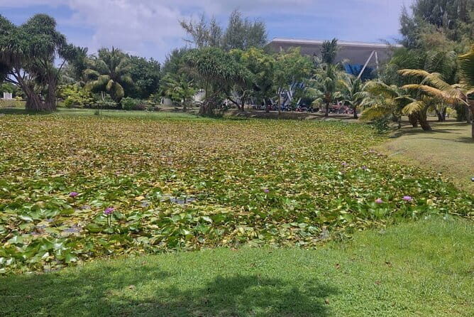 Four Islands Private Tour in Addu City, Maldives - Final Thoughts