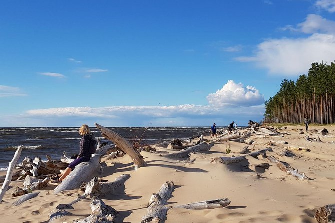 Four Natural Ecosystems In One Hike - Key Points