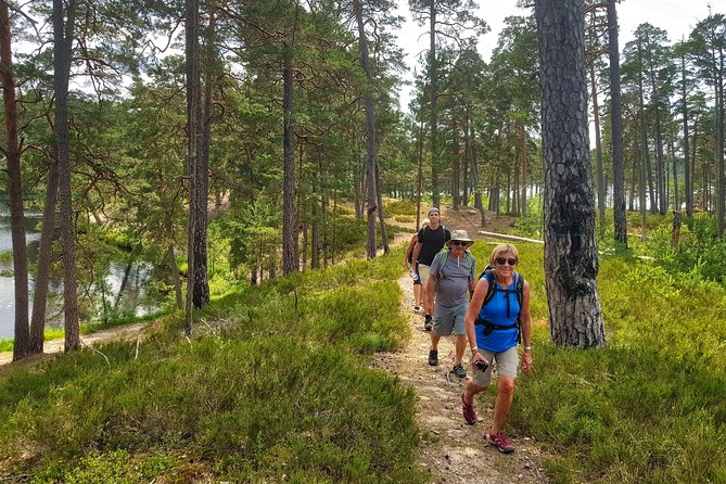 Four Natural Ecosystems In One Hike - Analyzing Value and Practicality