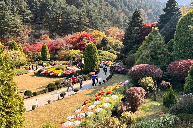 Four Seasons of Nami Island with Garden of Morning Calm Tour - Final Thoughts: Is This Tour Right for You?