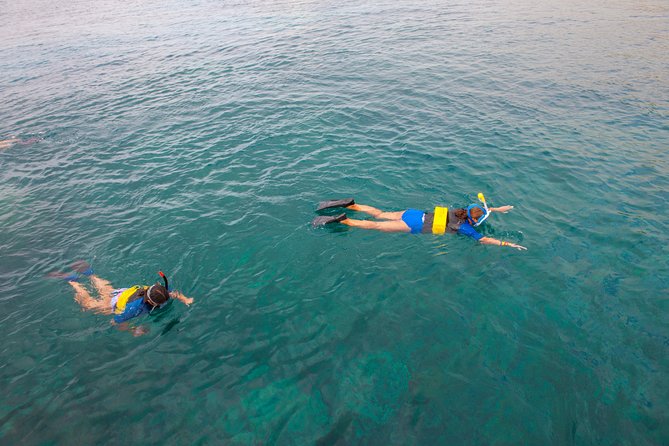Four Winds Molokini Snorkeling Tour from Maalaea Harbor - Who Will Love This Experience?