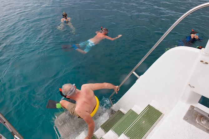 Four Winds Molokini Snorkeling Tour from Maalaea Harbor - FAQ
