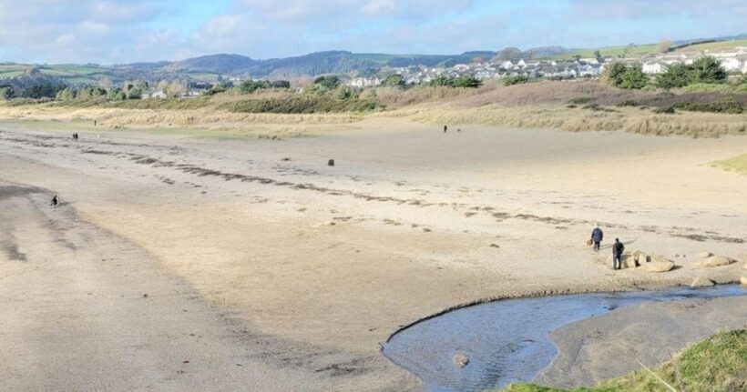 Fowey: South West Coast Path Guided Walk - An In-Depth Look at the Tour