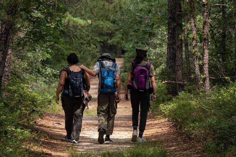 Fox Canyon Adventure Trek: Los Cabos Full-Day Tour - Key Points