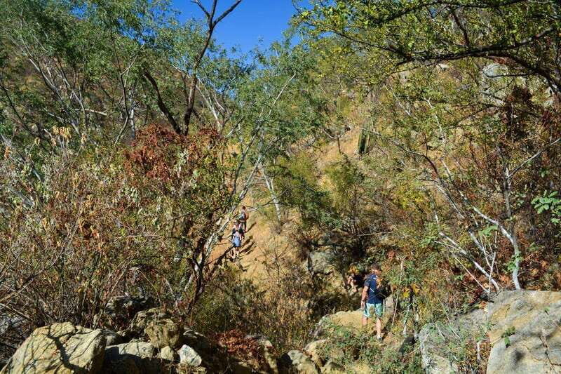 Fox Canyon: Day Hike - Trails and Exploration