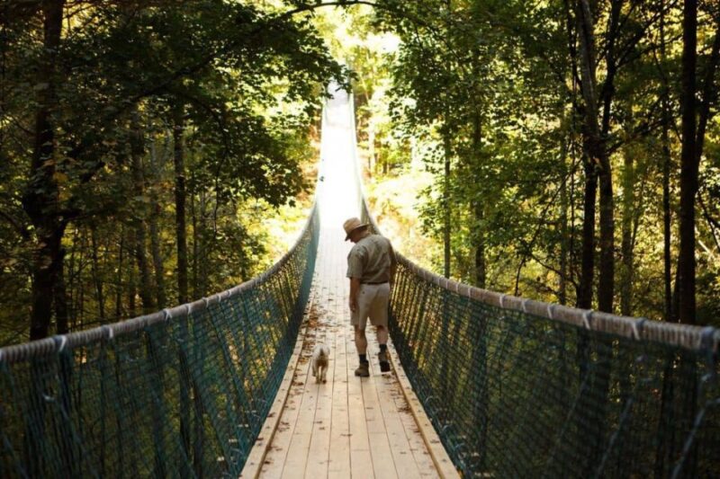 Foxfire Mountain: Hiking & Swinging Bridge Family Adventure - Key Points