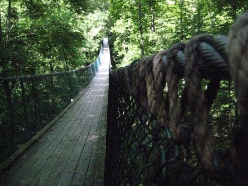 Foxfire Mountain: Hiking & Swinging Bridge Family Adventure - The Scenic Trails and Waterfalls