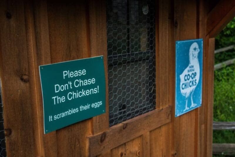 Foxfire Mountain: Hiking & Swinging Bridge Family Adventure - Additional Activities and Price Considerations