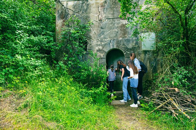 Foxtrail Jurapark in Aargau - Is It Worth the Price? Analyzing the Value