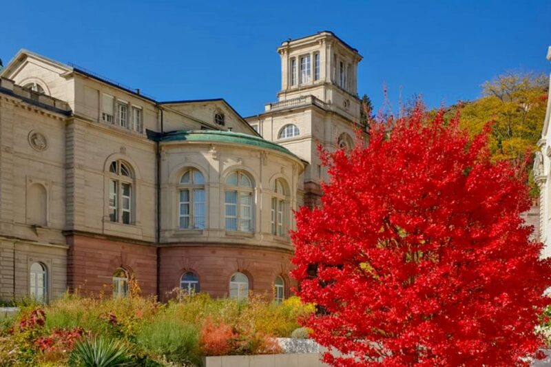 Frankfurt: Full-Day Baden-Baden and Strasbourg Trip - Who Should Consider This Tour?