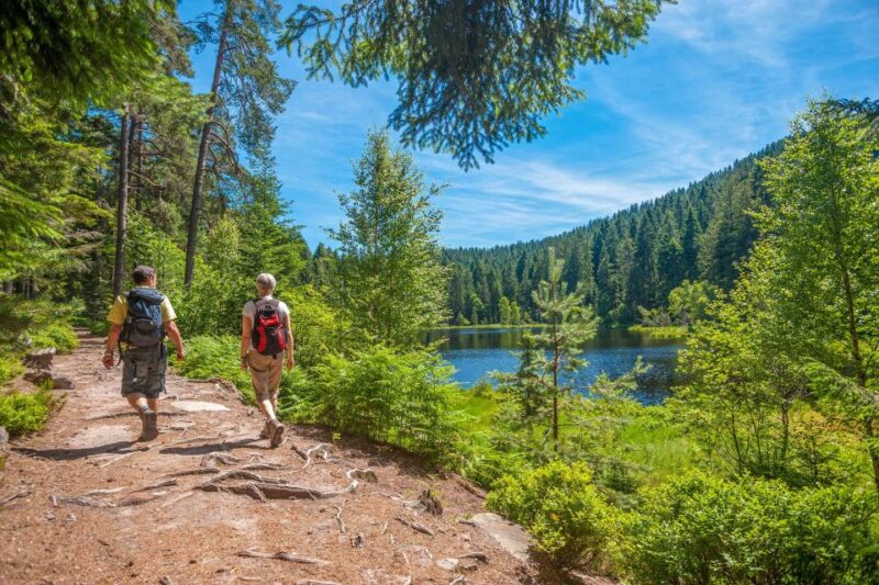 Frankfurt: Full-Day Baden-Baden and Strasbourg Trip - Final Thoughts