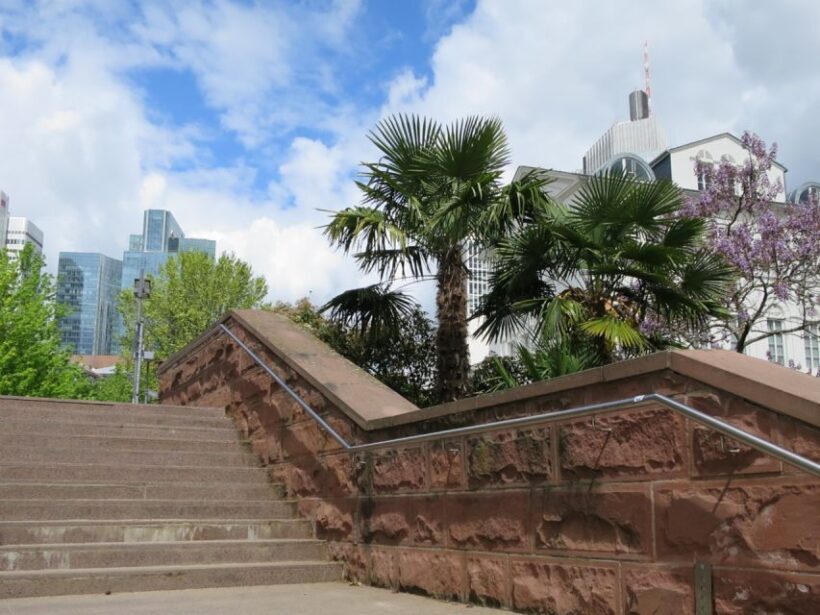 Frankfurt: Guided walk between palm trees and skyline - Key Points