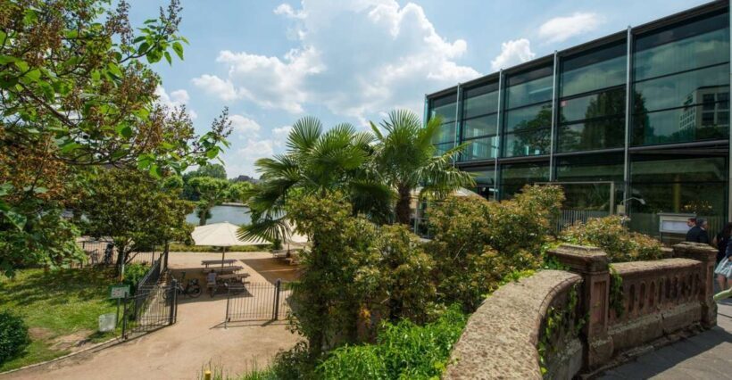 Frankfurt: Guided walk between palm trees and skyline - Exploring Frankfurt’s Unexpected Green Corners