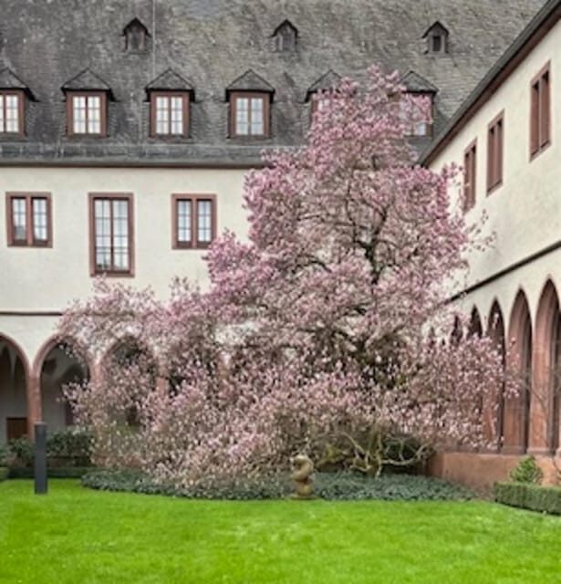 Frankfurt on Foot Daily Walking Tour in English - FAQ