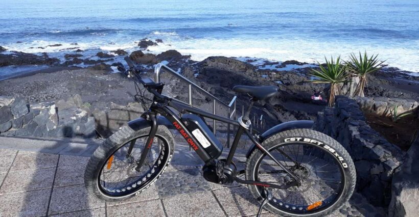 Frankfurt: Unique E-Bikes Tours - What Makes the Tour Stand Out?