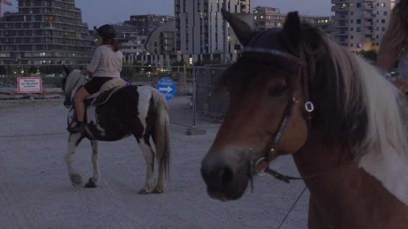 Frankfurter Kunstverein: Admission ticket - A Historic Venue Meets Contemporary Vision