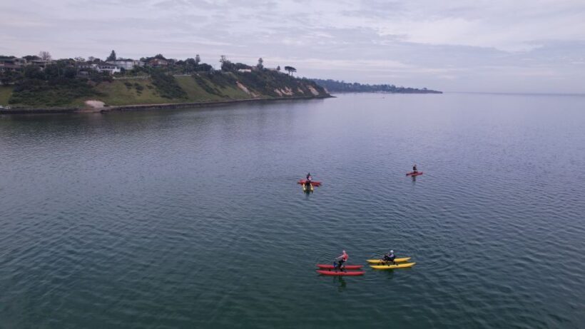 Frankston: Port Phillip Bay Water Bike Tour - What is the Frankston: Port Phillip Bay Water Bike Tour?