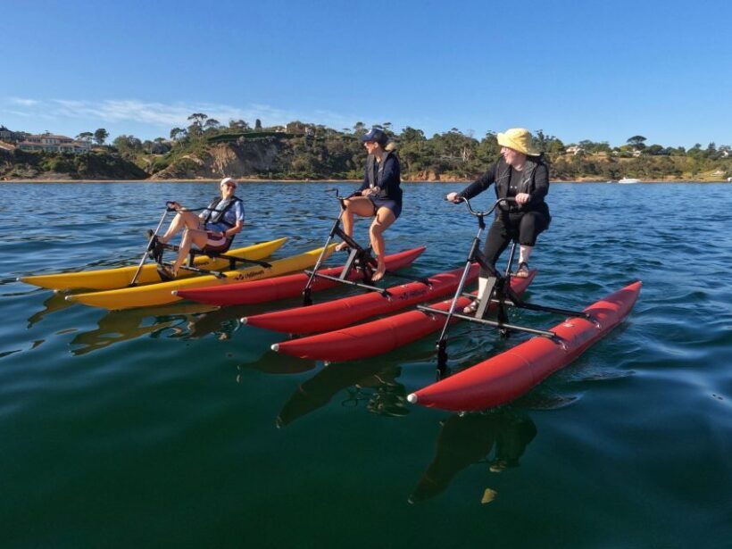 Frankston: Port Phillip Bay Water Bike Tour - Experience Highlights and Why They Matter