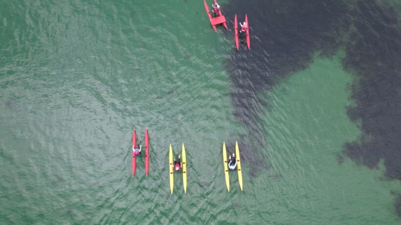 Frankston: Port Phillip Bay Water Bike Tour - Who Will Love This Tour?