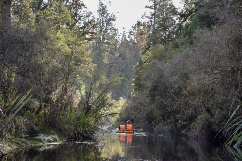 Franz Josef: 3-Hour Kayak Tour on Lake Mapourika - Key Points