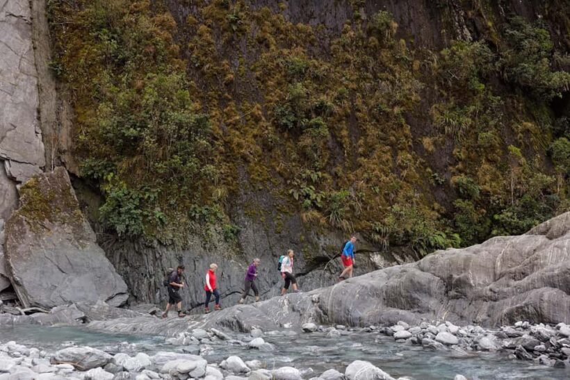 Franz Josef: Franz Josef Glacier Lookout Guided Walk - Key Points