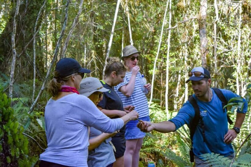 Franz Josef Glacier: 2.5-Hour Lake Mapourika Cruise and Walk - Exploring the Franz Josef Glacier: 2.5-Hour Lake Mapourika Cruise and Walk