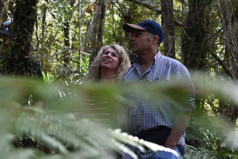 Franz Josef Glacier: 2.5-Hour Lake Mapourika Cruise and Walk - Key Points