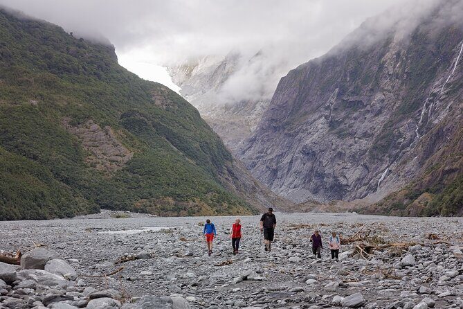 Franz Josef Nature Tour - An In-Depth Look at the Franz Josef Nature Tour