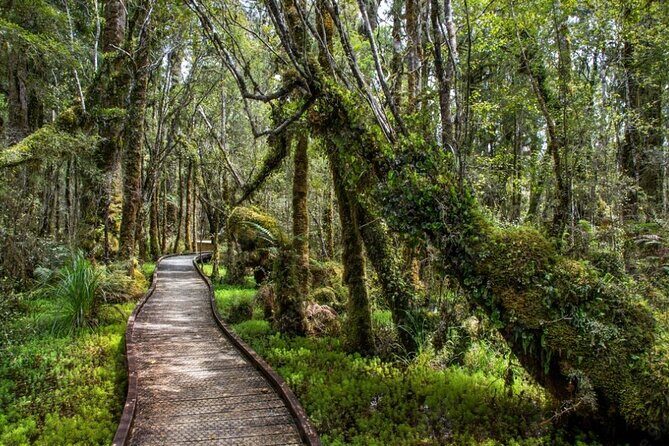 Franz Josef to Wanaka Small-Group Tour (One-Way) Includes Lunch - Lake Matheson Walk: The Photographers Dream