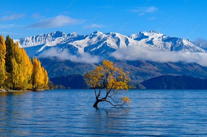 Franz Josef to Wanaka Small-Group Tour (One-Way) Includes Lunch - Blue Pools Track: A Visual Feast