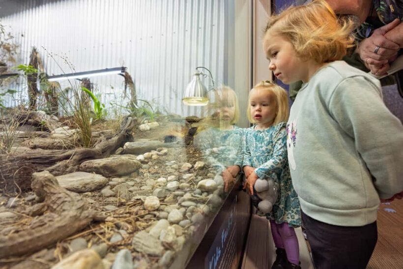 Franz Josef: West Coast Wildlife Centre Entry Ticket - Practical Details and Tips