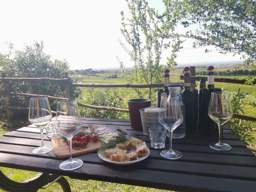 Frascati: 2-Hours Wine and Oil Tasting with Vineyards Tour - Key Points