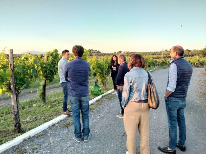 Frascati: 2-Hours Wine and Oil Tasting with Vineyards Tour - An In-Depth Look at the Frascati Wine and Oil Tasting Tour