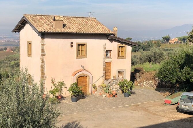 Frascati Day Tour: Road From Rome With Wine Tasting & Lunch - Itinerary Highlights