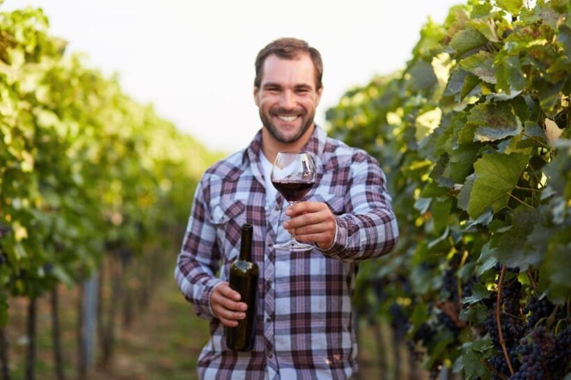 Frascati Private Tour w/ Lunch & Wine Tasting in a Vineyard - Exploring Frascati: A Perfect Day Trip from Rome
