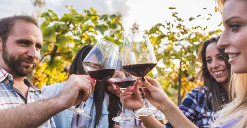 Frascati Private Tour w/ Lunch & Wine Tasting in a Vineyard - The Scenic Return to Rome