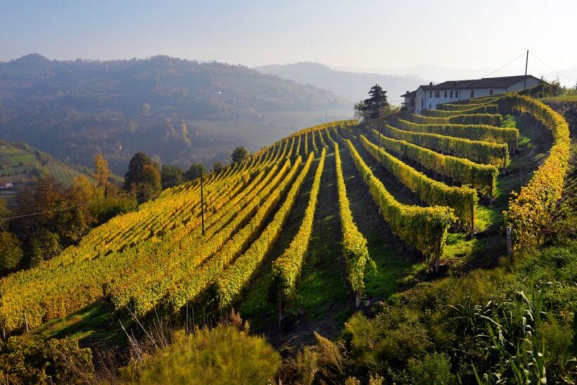 Frascati Private Tour w/ Lunch & Wine Tasting in a Vineyard - Authentic Experiences and Genuine Value