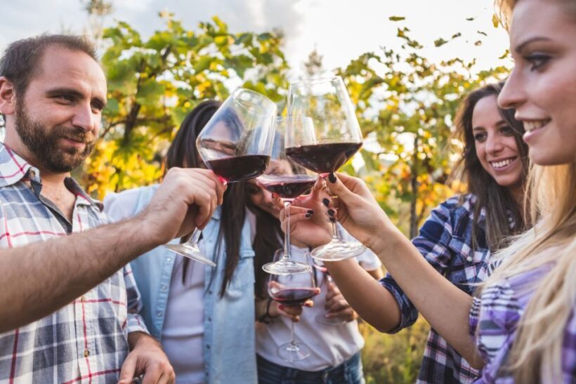 Frascati Private Tour w/ Lunch & Wine Tasting in a Vineyard - Who Will Appreciate This Tour?