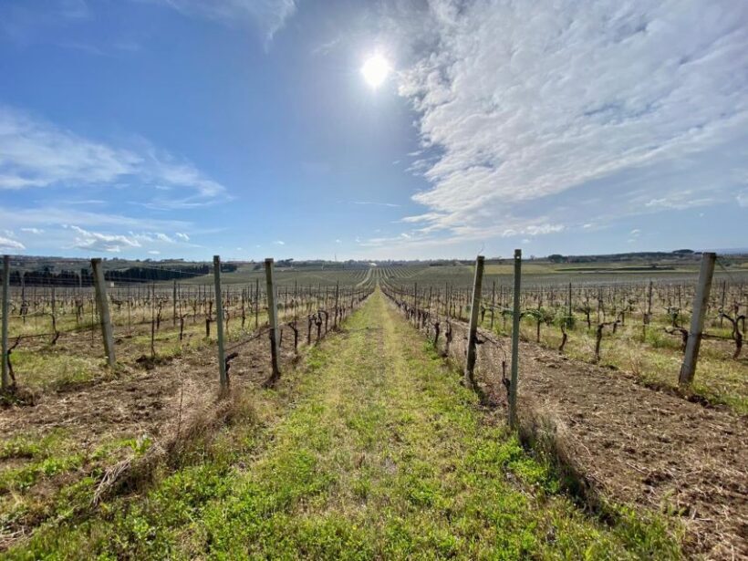 Frascati: Tour in E-Bike with Wine Tasting - FAQ
