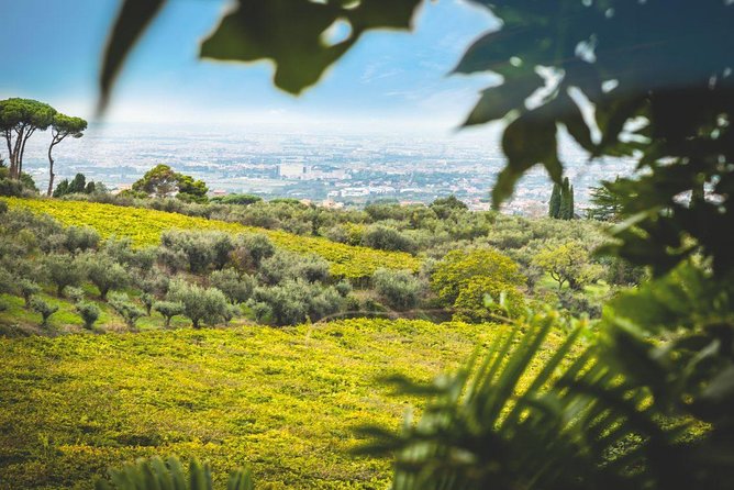 Frascati Wine Tasting Tour: The Flavors of the Roman Countryside - Meeting and Transportation