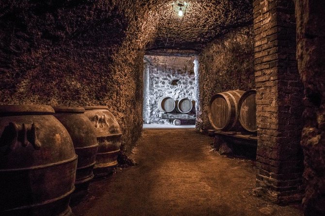 Frascati Wine Tasting Tour: The Flavors of the Roman Countryside - Savoring the Local Cuisine