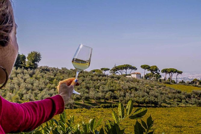 Frascati Wine Tasting Tour: The Flavors of the Roman Countryside - Reviews and Feedback